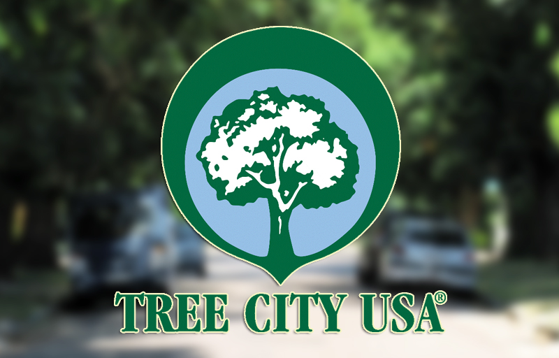Ripley’s Tree City, USA committee receives $3,000 grant, prepares for ...