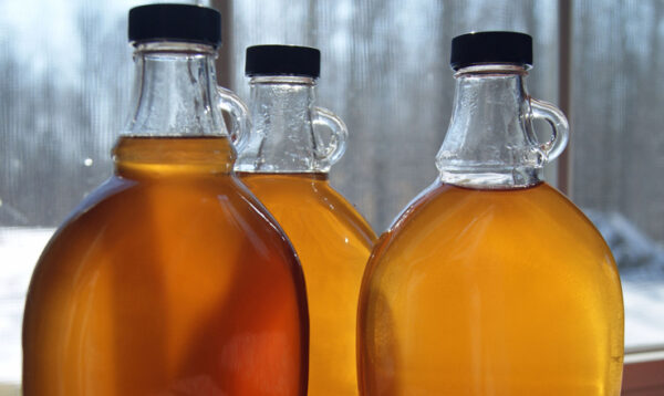 The mysteries of Maple Syrup | The Ripley Bee