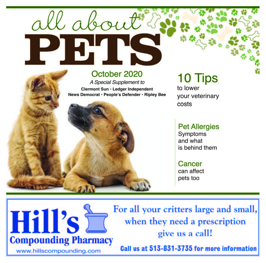 All About Pets - October, 2020 | The Ripley Bee