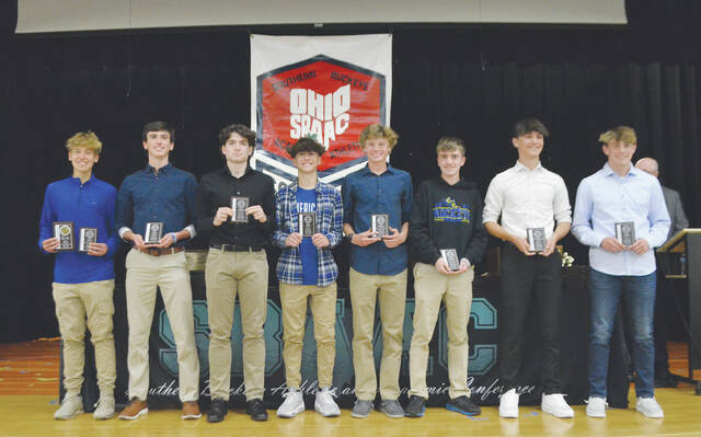 SBAAC awards National Div. First Team cross country all-stars | The ...